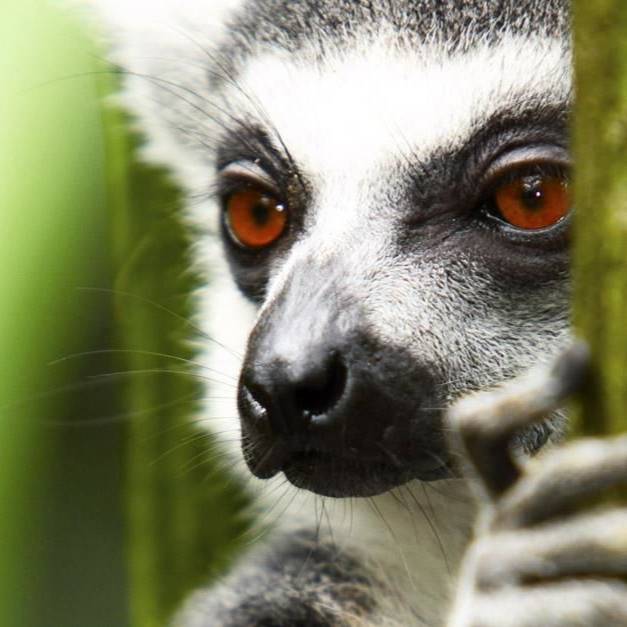 Иконка канала Жизнь и будущее