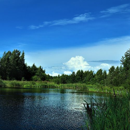 Иконка канала АЛЕКСЕЙ .Фе.