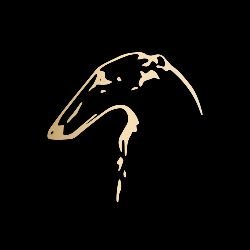 Иконка канала BORZOVA DESIGN X DEVELOPMENT GROUP