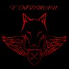 Иконка канала Voidman