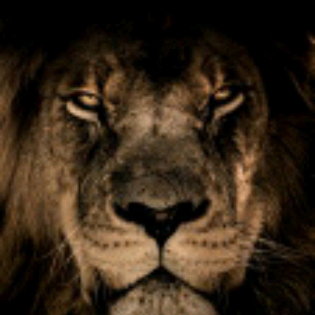 Иконка канала Мотивация для Бизнеса и Развития