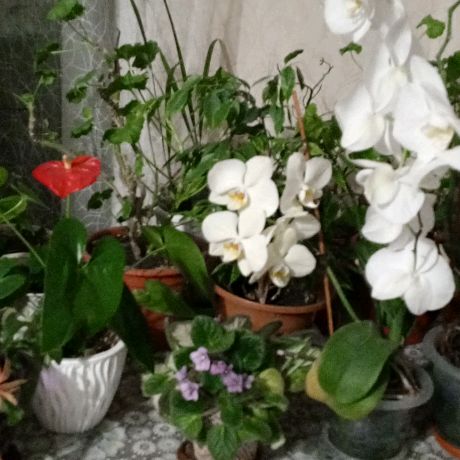 Иконка канала Сельские хлопоты с Анной.