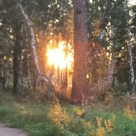 Иконка канала Lira55889