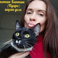 Иконка канала Кошкин приют Светланы Хабиевой Петербург