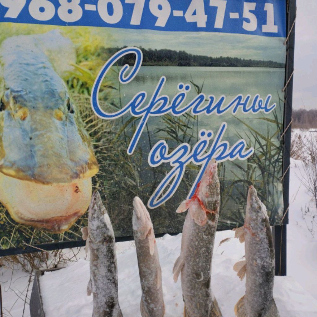 Иконка канала Серёгины Озёра г. Дмитров