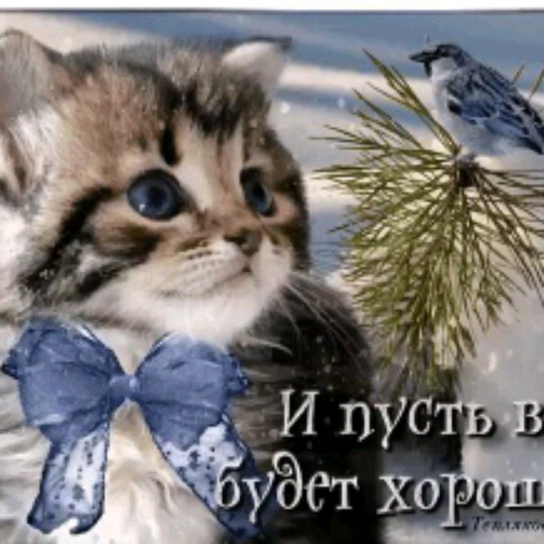 Иконка канала channel50962803