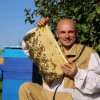 Иконка канала Алексей Михалев Пчеловодство Медоцвет