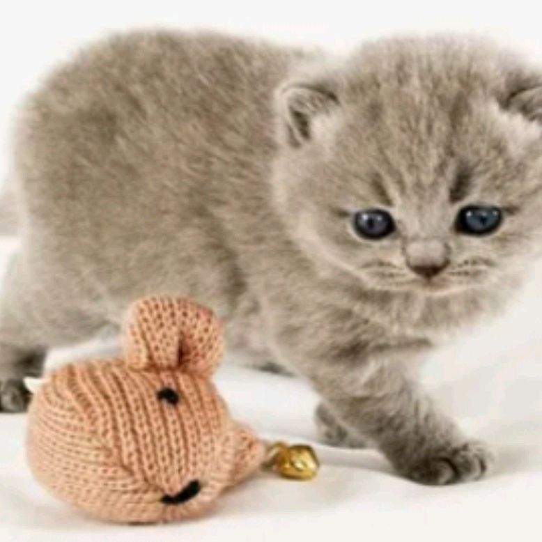 Иконка канала Roblox и игры