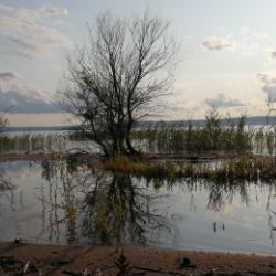 Иконка канала Искусство строить