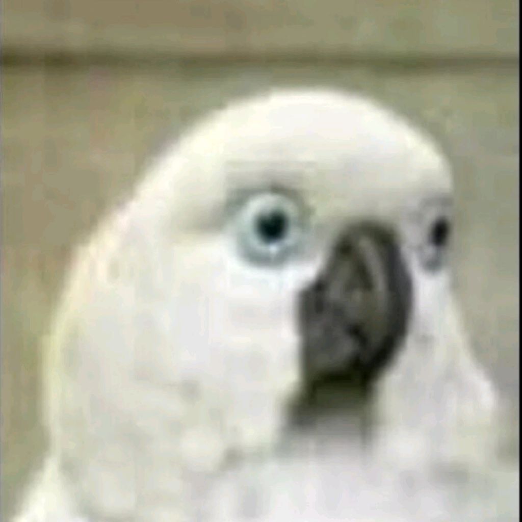 Иконка канала Александр+