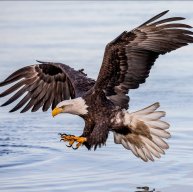 Иконка канала Лезги манияр Лезгинские песни