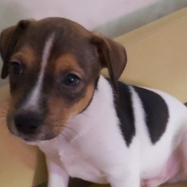 Иконка канала channel51054088