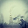 Иконка канала Окно в Петербург
