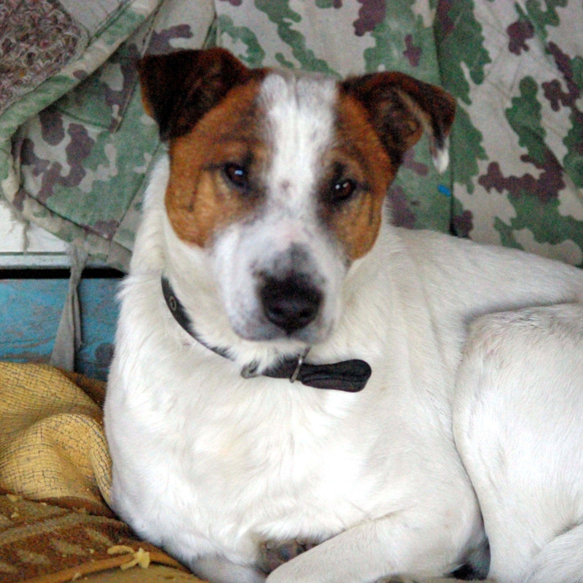 Иконка канала Алекс Станичник