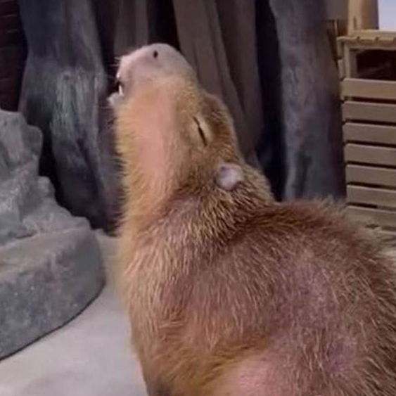 Иконка канала Вованыч_play