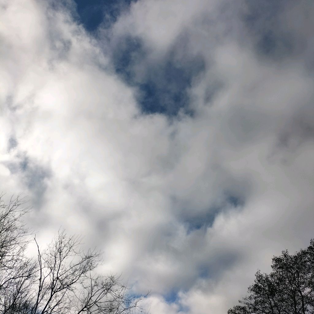 Иконка канала Сельская Жизнь