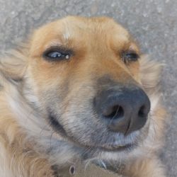 Иконка канала Даня 124