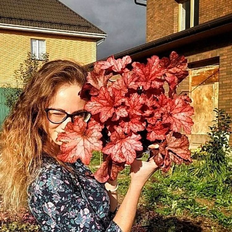 Иконка канала в_мечтах_о_саде