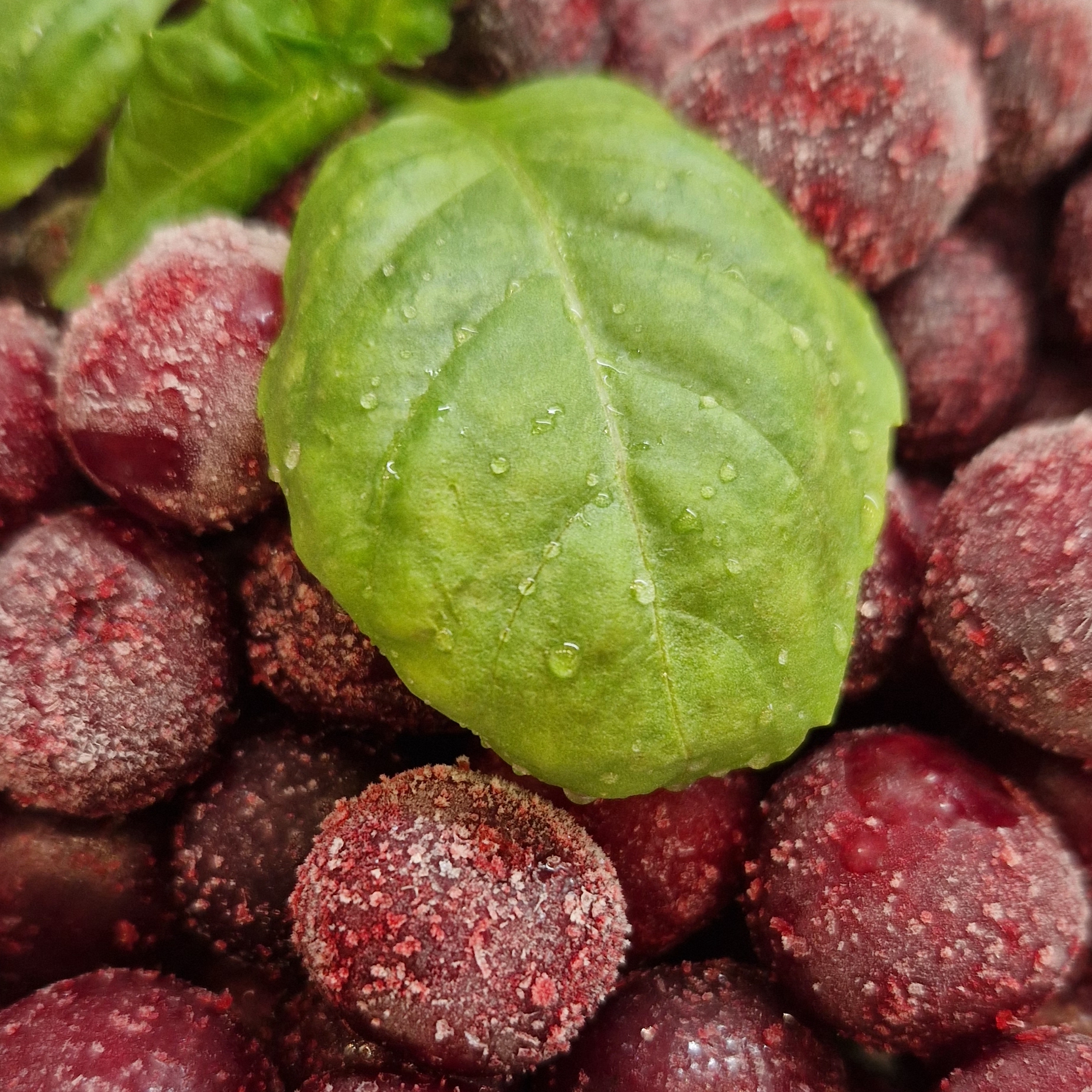 Иконка канала Покатили