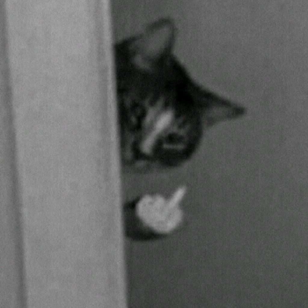 Иконка канала Телохранитель