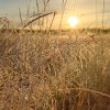 Иконка канала Рыбалка Природа Якутии