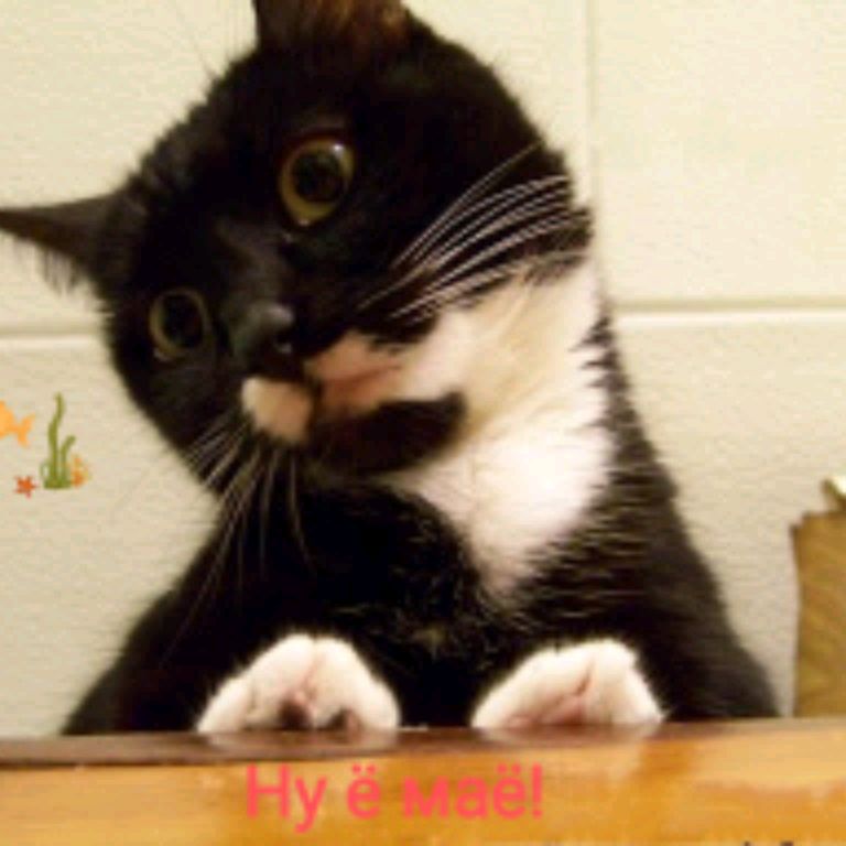 Иконка канала ZolotoirinaY