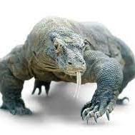 Иконка канала Varan Varan