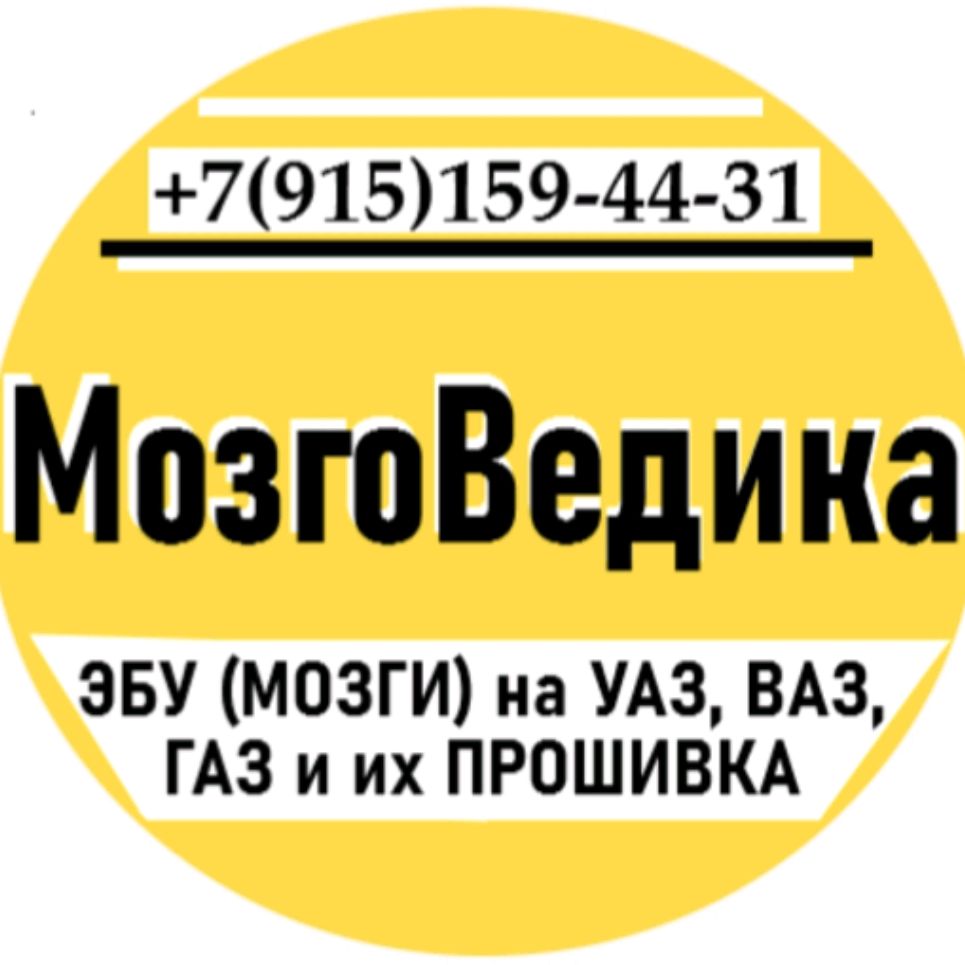 Иконка канала МозгоВедика