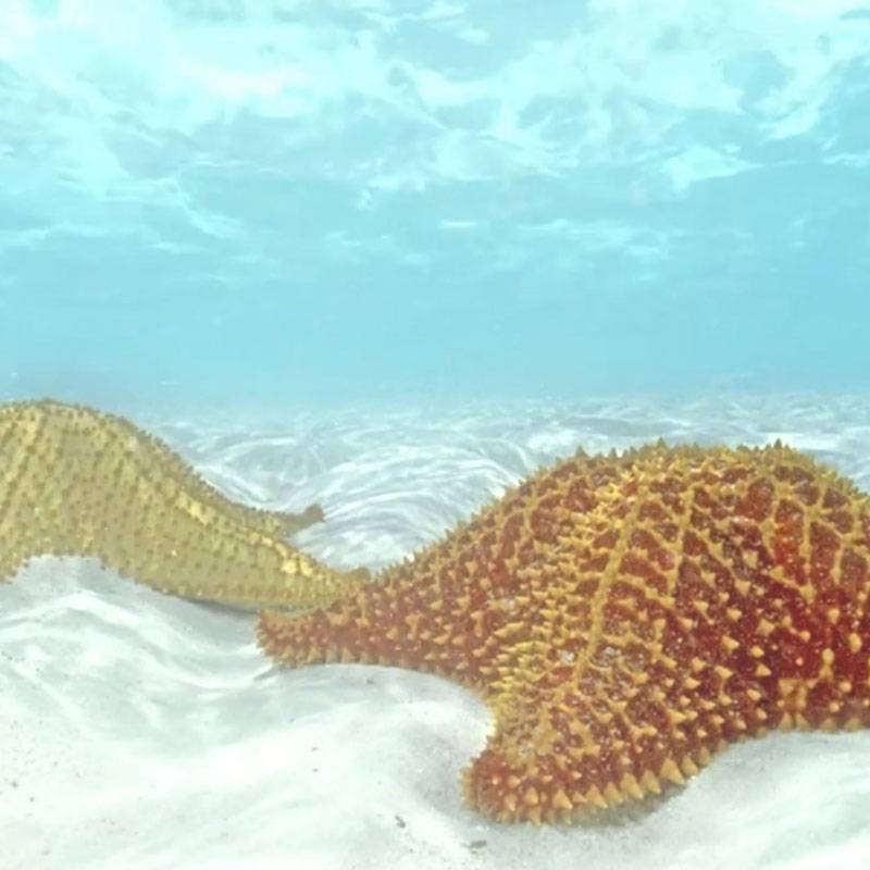 Иконка канала Relaxmix