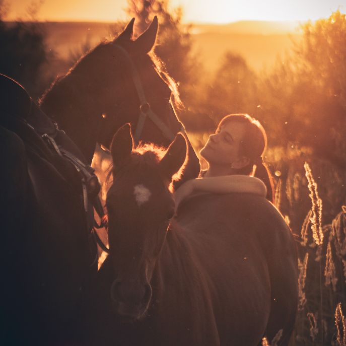 Иконка канала channel51461385