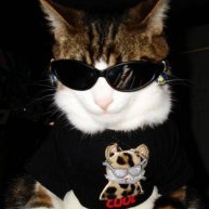 Иконка канала NIGHTCAT ﹤3