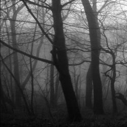 Иконка канала Dark212332
