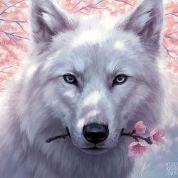 Иконка канала ДУША АМИРА ЛАНА