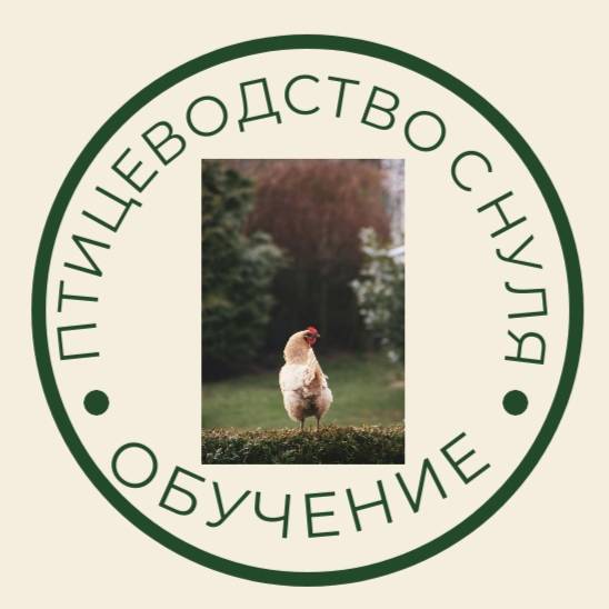 Иконка канала Птицеводство с нуля. Обучение.