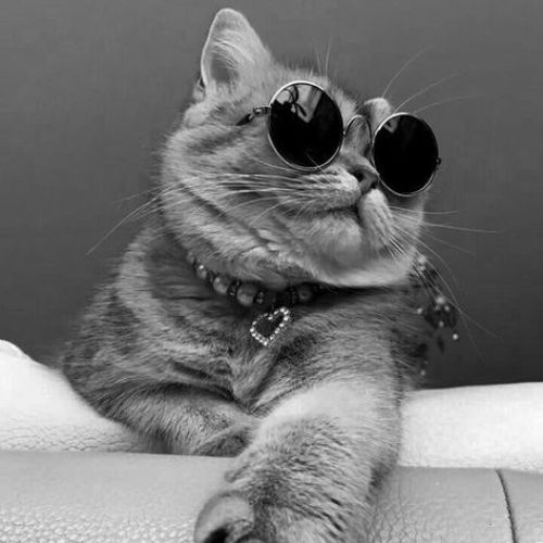 Иконка канала Коткин Сергей