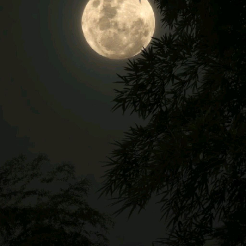 Иконка канала ■Faep♡☆Can♤♡