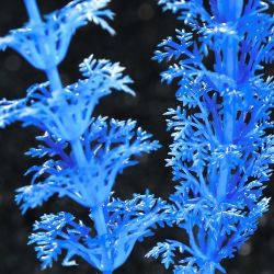 Иконка канала Синий Иней 1