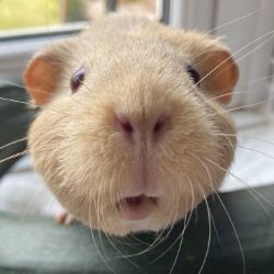 Иконка канала ☁Vince☁