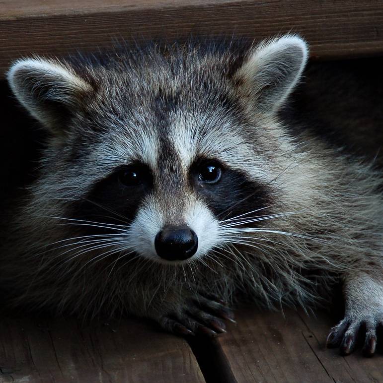 Иконка канала Funny и его истории