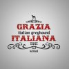 Иконка канала GRAZIA ITALIANA. Левретки .DNA tested. FCI №23194