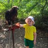 Иконка канала Блогер Влад