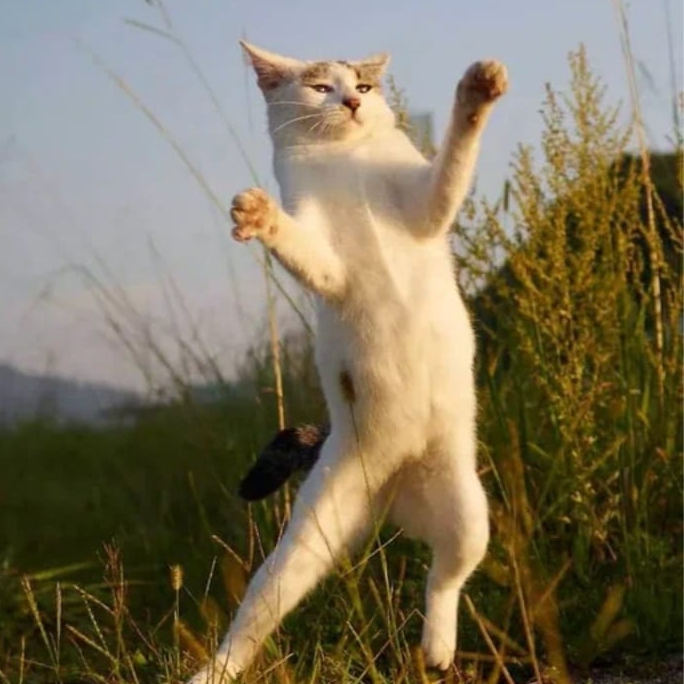 Иконка канала Соник x