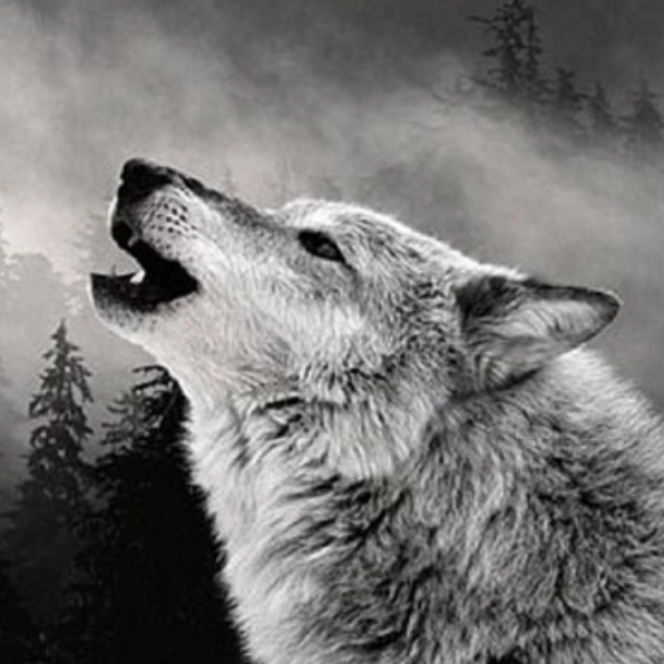 Иконка канала ЕВРО НА РОТ