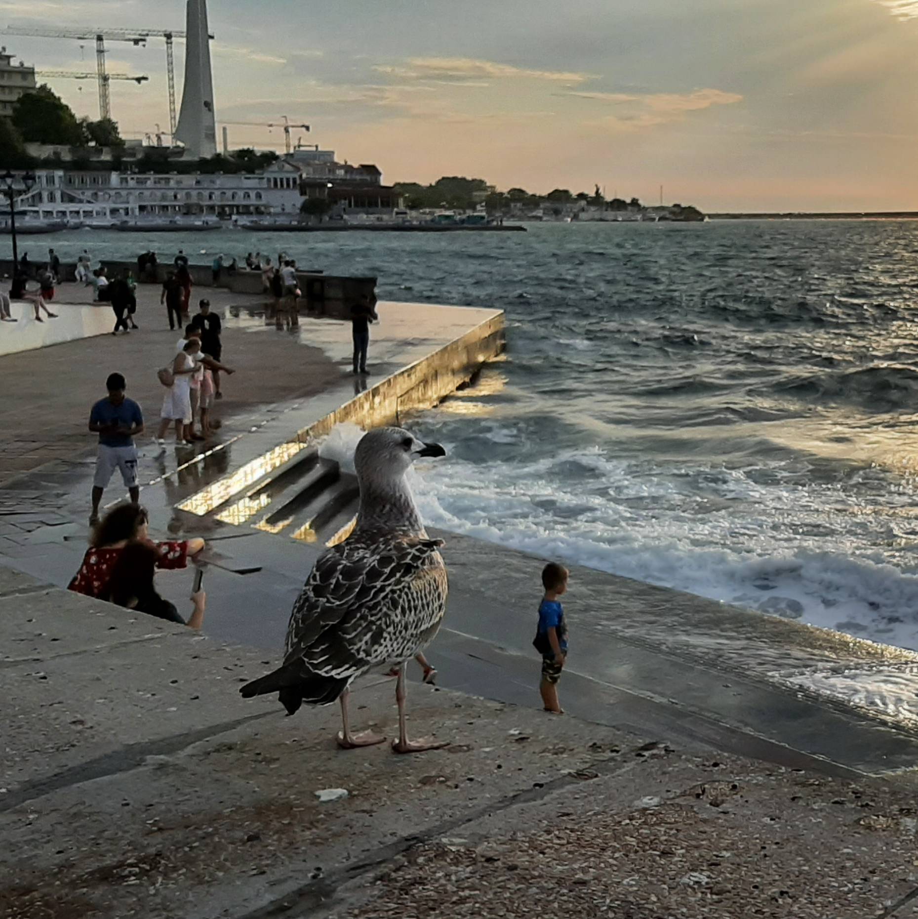 Иконка канала Сергей Попов