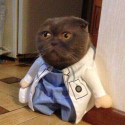 Иконка канала МедКот