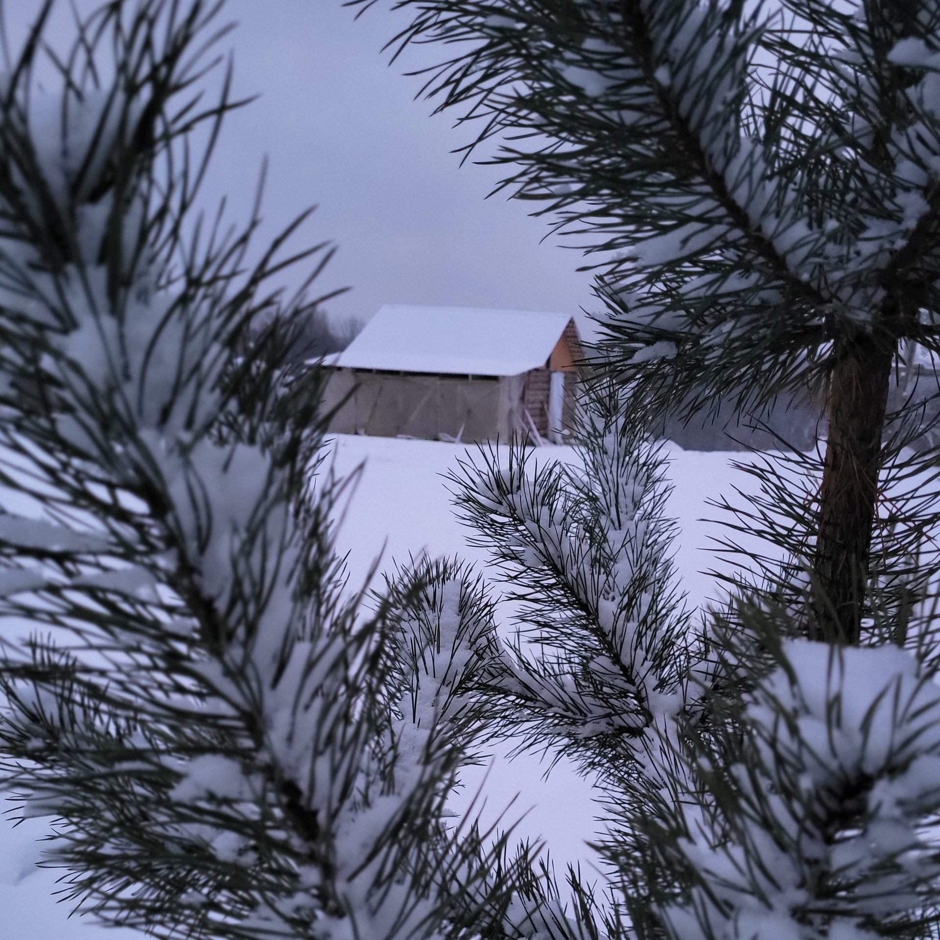 Иконка канала Хозяйство На Удаленке