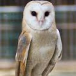 Иконка канала HelgV