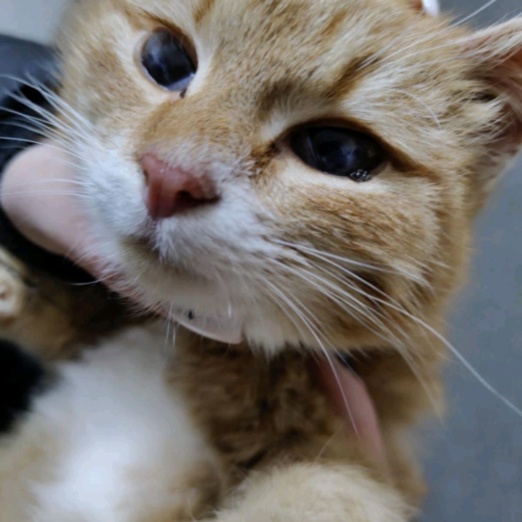 Иконка канала Konstantin