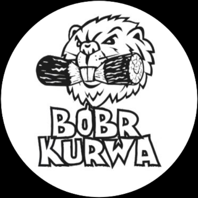 Иконка канала BOBR KURWA