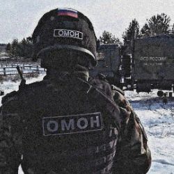 Иконка канала S.Wolleta